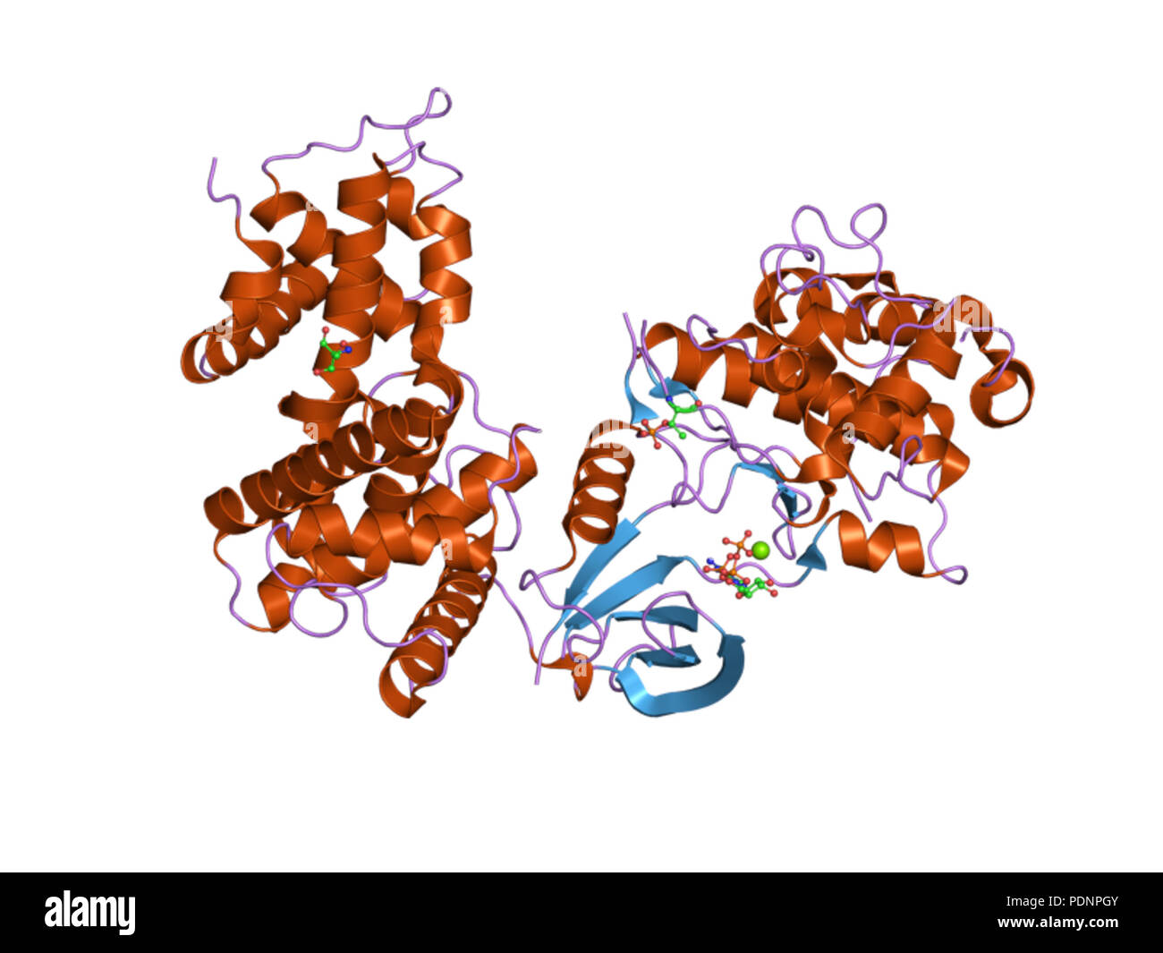 260 PDB 3blq EBI Stock Photo - Alamy
