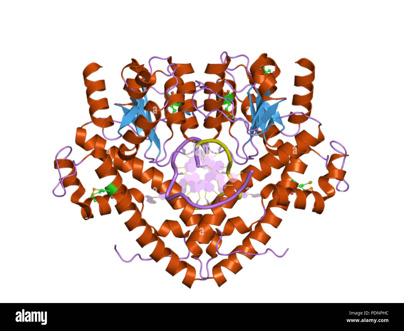 260 PDB 3bm3 EBI Stock Photo - Alamy