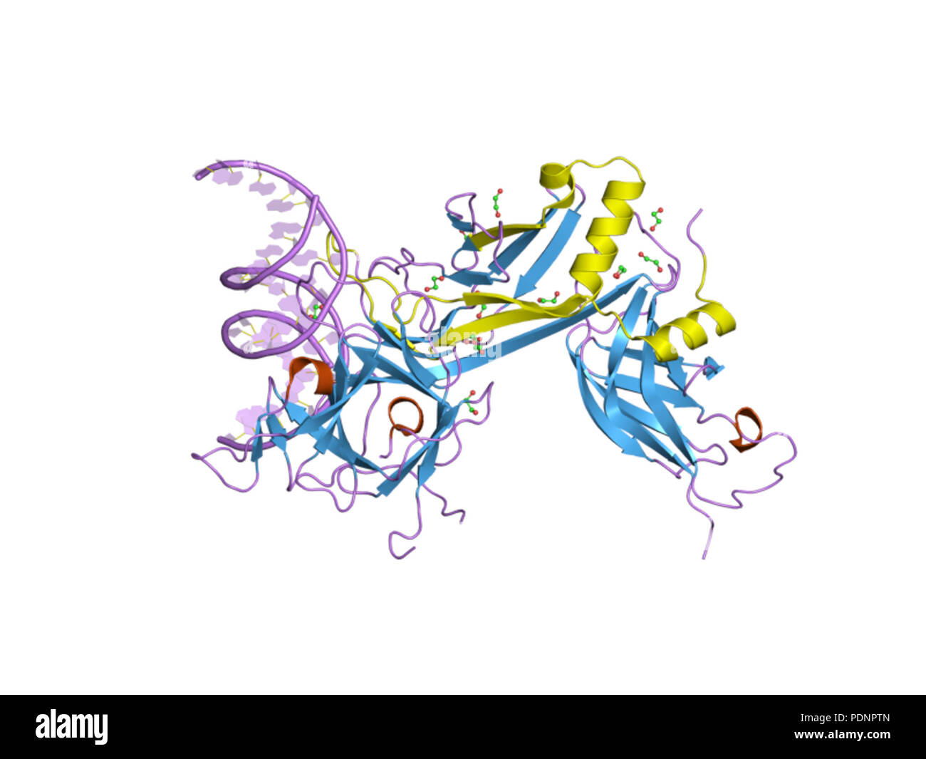 261 PDB 3brg EBI Stock Photo - Alamy