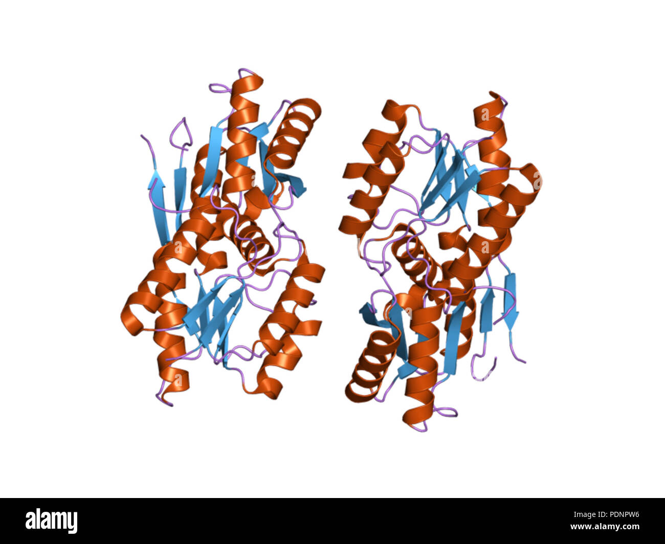 Standard model research process hi-res stock photography and images - Alamy