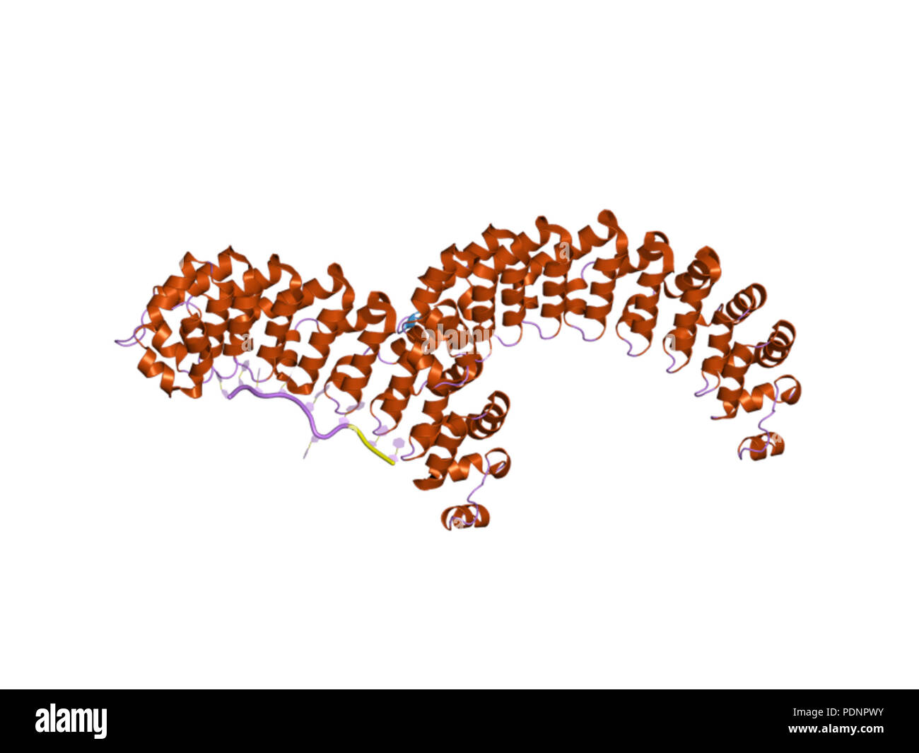 3bsb hi-res stock photography and images - Alamy