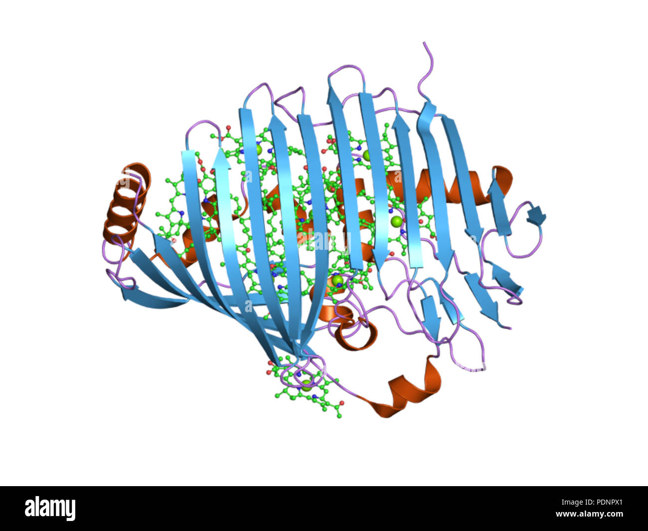 261 PDB 3bsd EBI Stock Photo - Alamy