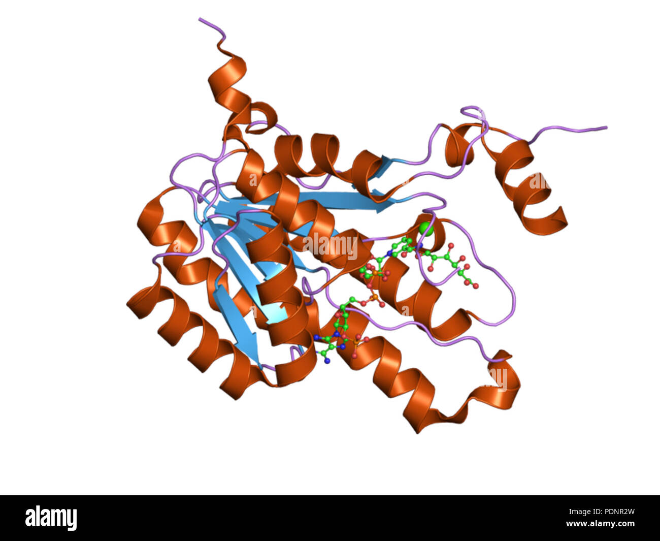 Tertiary mapping hi-res stock photography and images - Alamy
