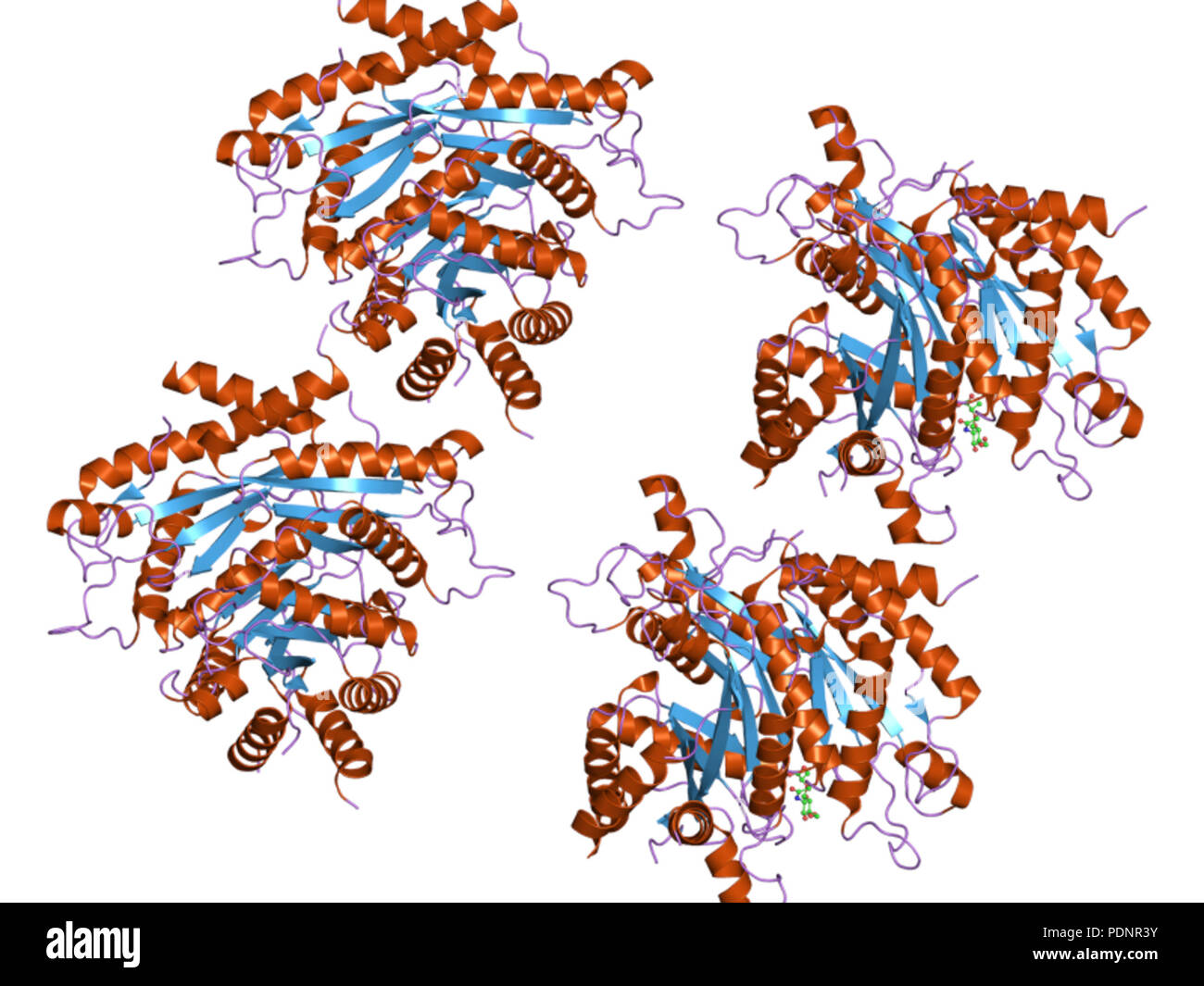 Very late 1990s Cut Out Stock Images & Pictures - Alamy