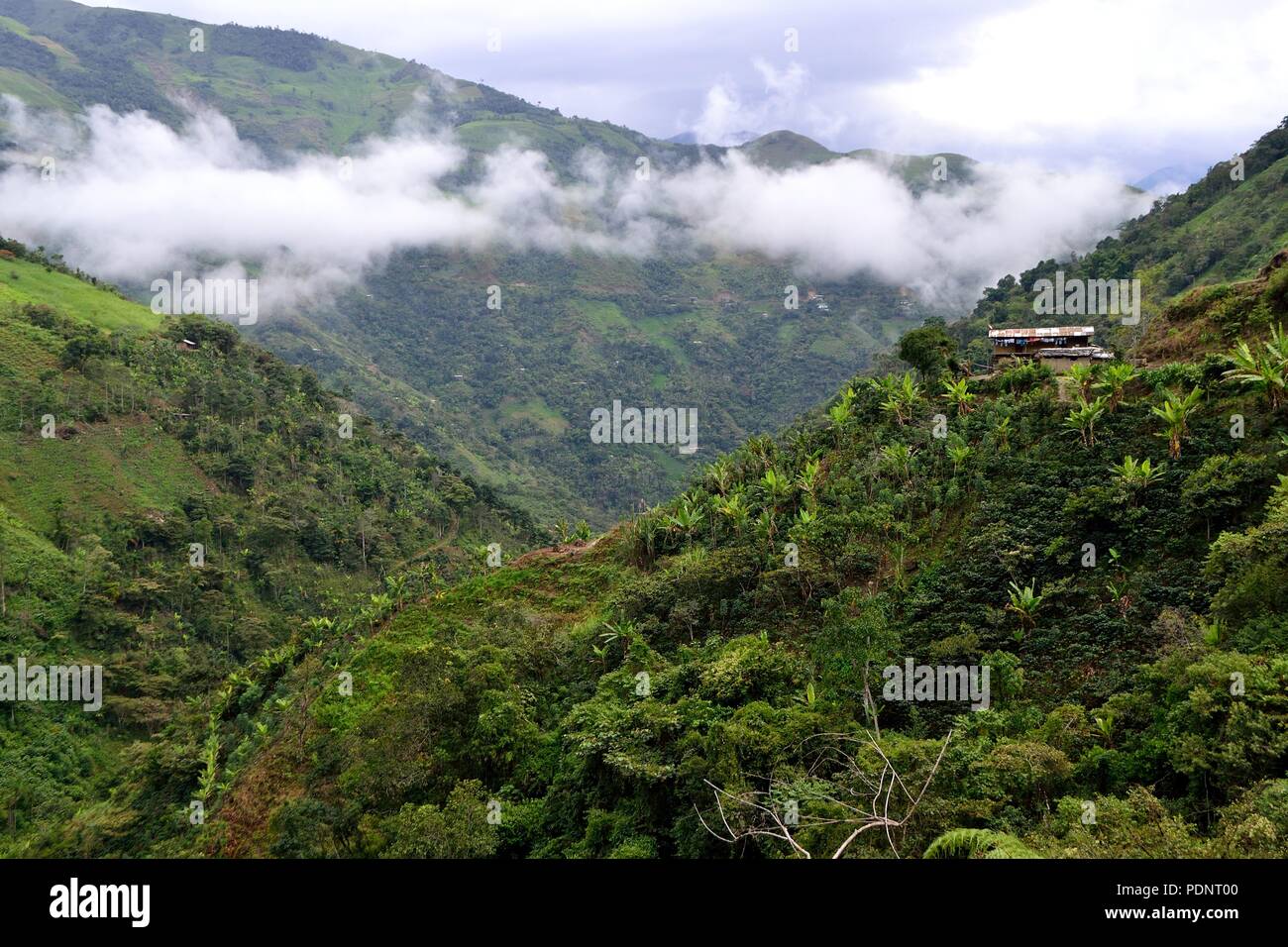 LA ZUNGA - Ecuador border -San Ignacio- Department of Cajamarca .PERU ...