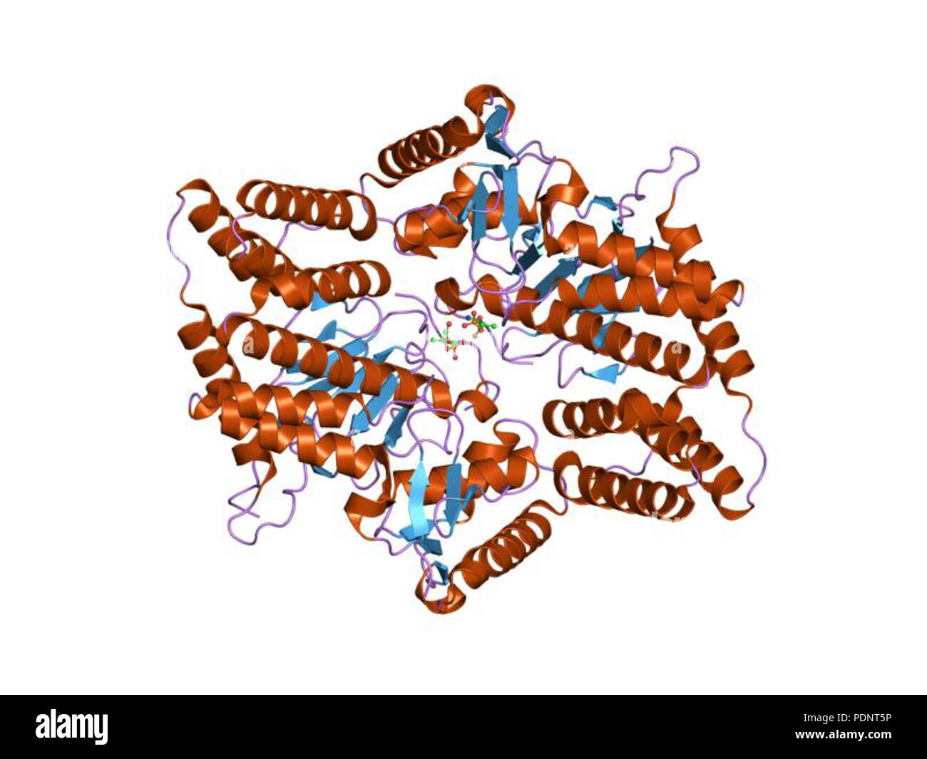 187 PDB 2ff4 EBI Stock Photo - Alamy