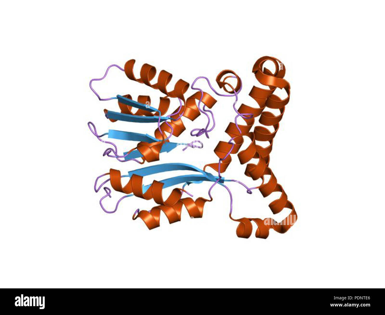 188 PDB 2fk7 EBI Stock Photo - Alamy