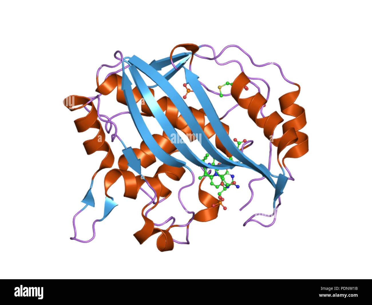 Measurement reference hi-res stock photography and images - Alamy