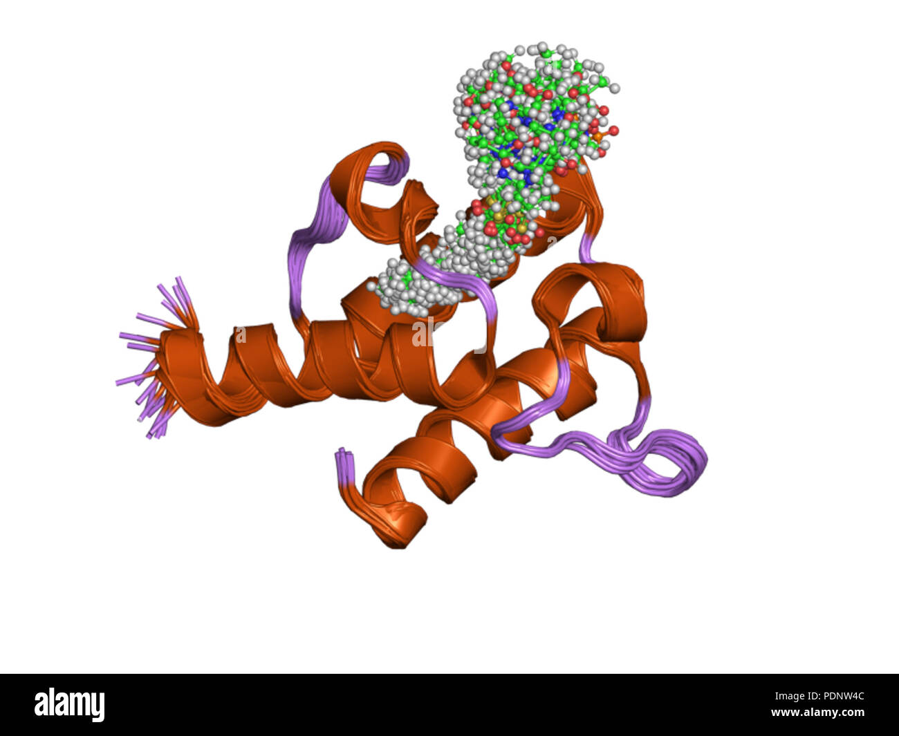 Personal materials Cut Out Stock Images & Pictures - Alamy