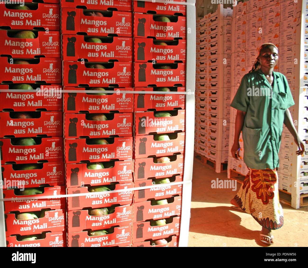 AOM Mango Processing Plant - Mali Value Chains Stock Photo - Alamy