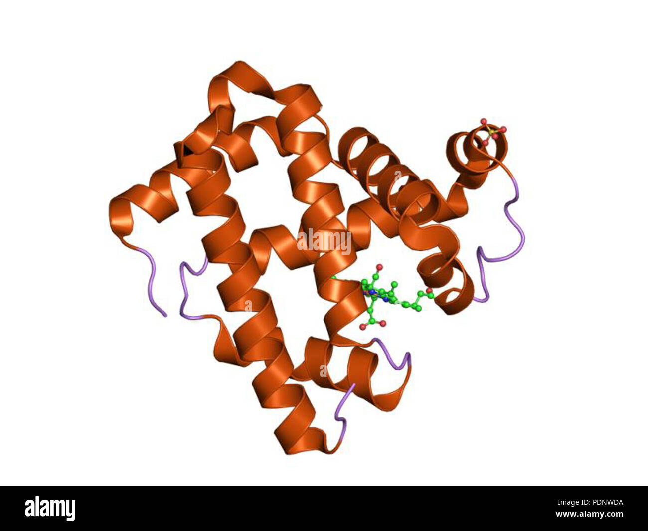 191 PDB 2g0s EBI Stock Photo - Alamy