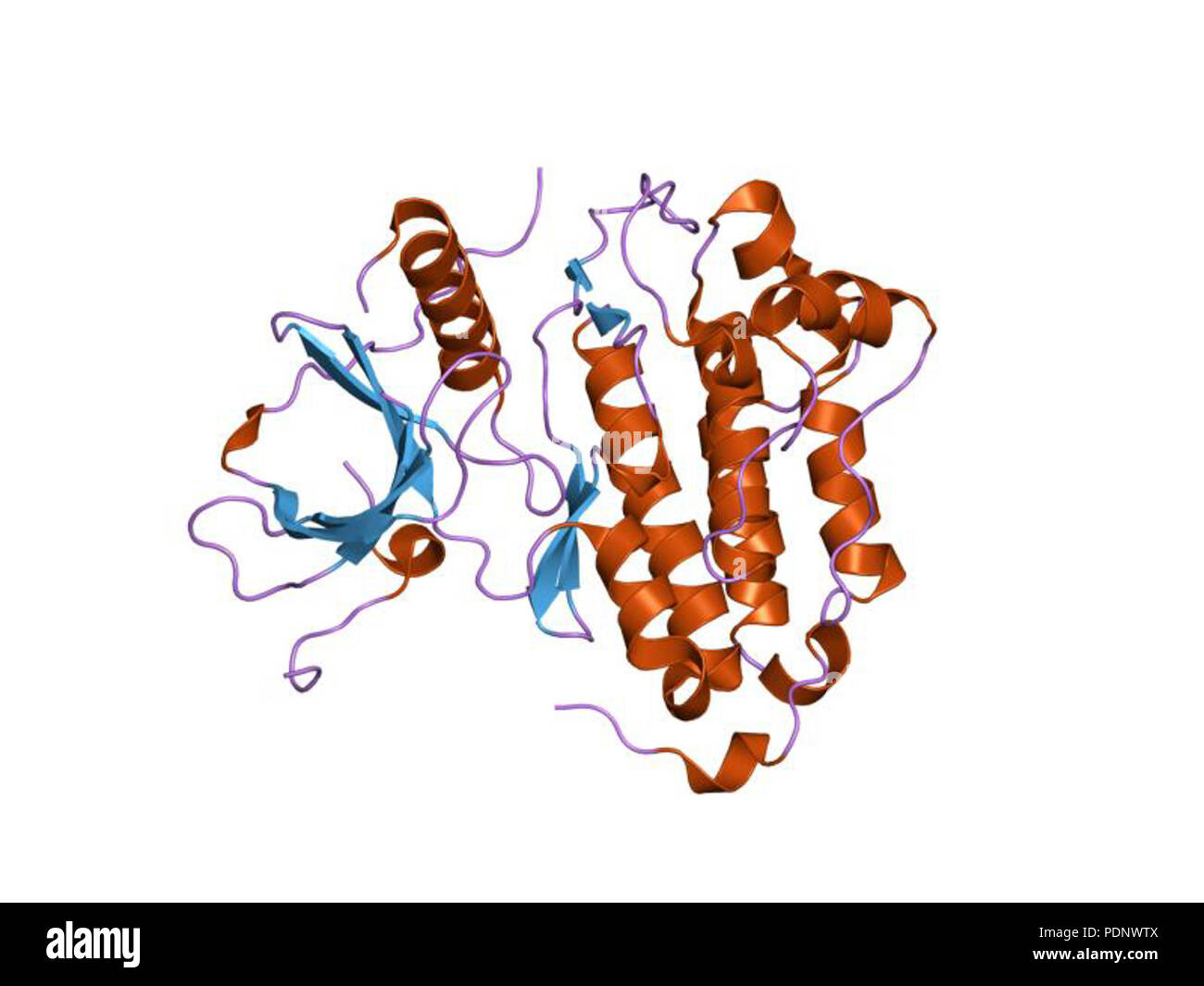 195 PDB 2gs2 EBI Stock Photo - Alamy