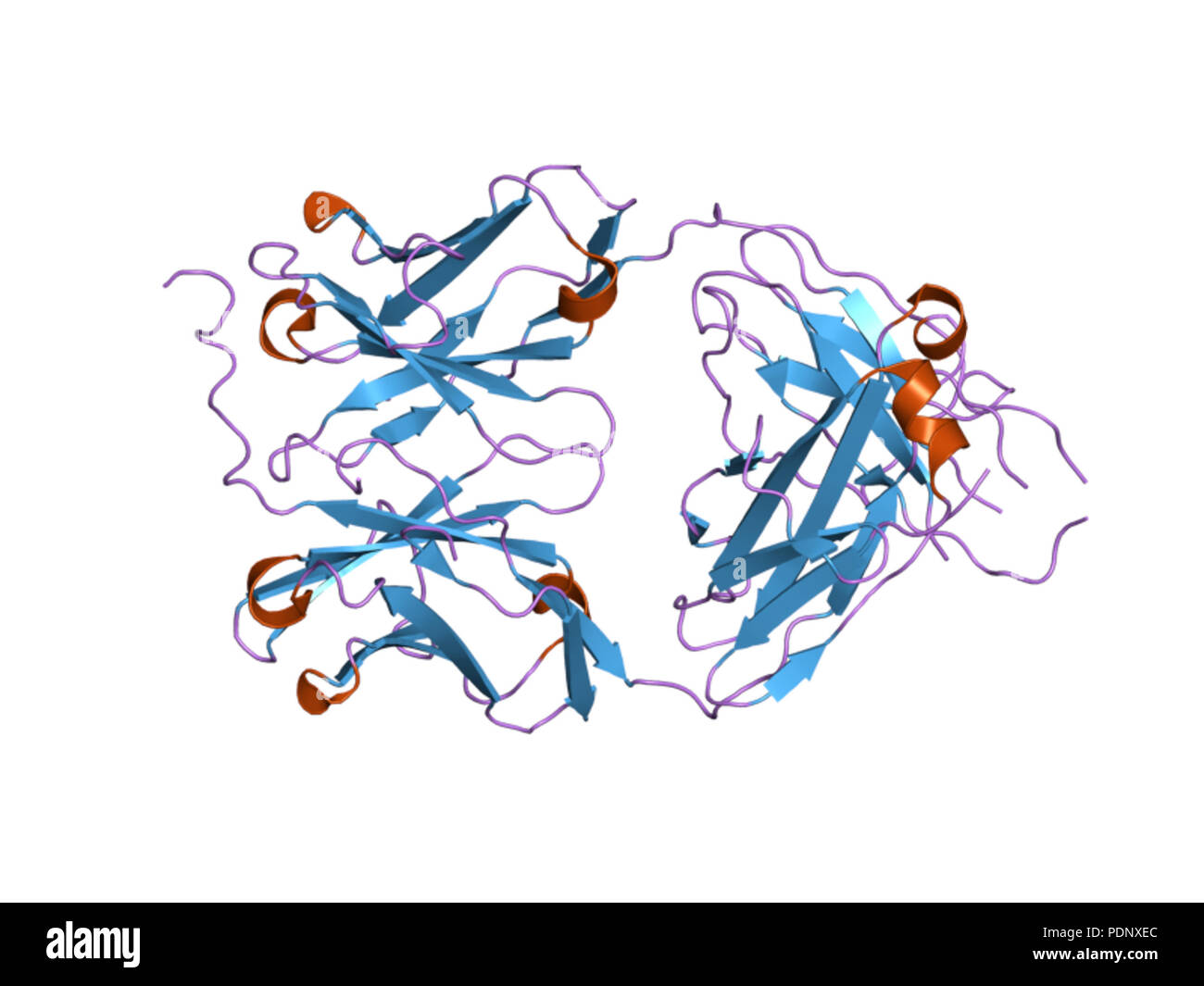 197 PDB 2h32 EBI Stock Photo - Alamy