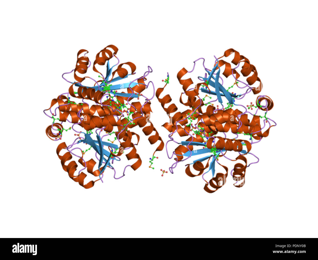 Military accuracy testing hi-res stock photography and images - Alamy
