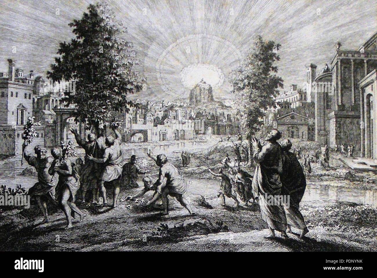 Apocalypse 43. The tree of life. Revelation cap 22 v 2. Mortier's Bible ...