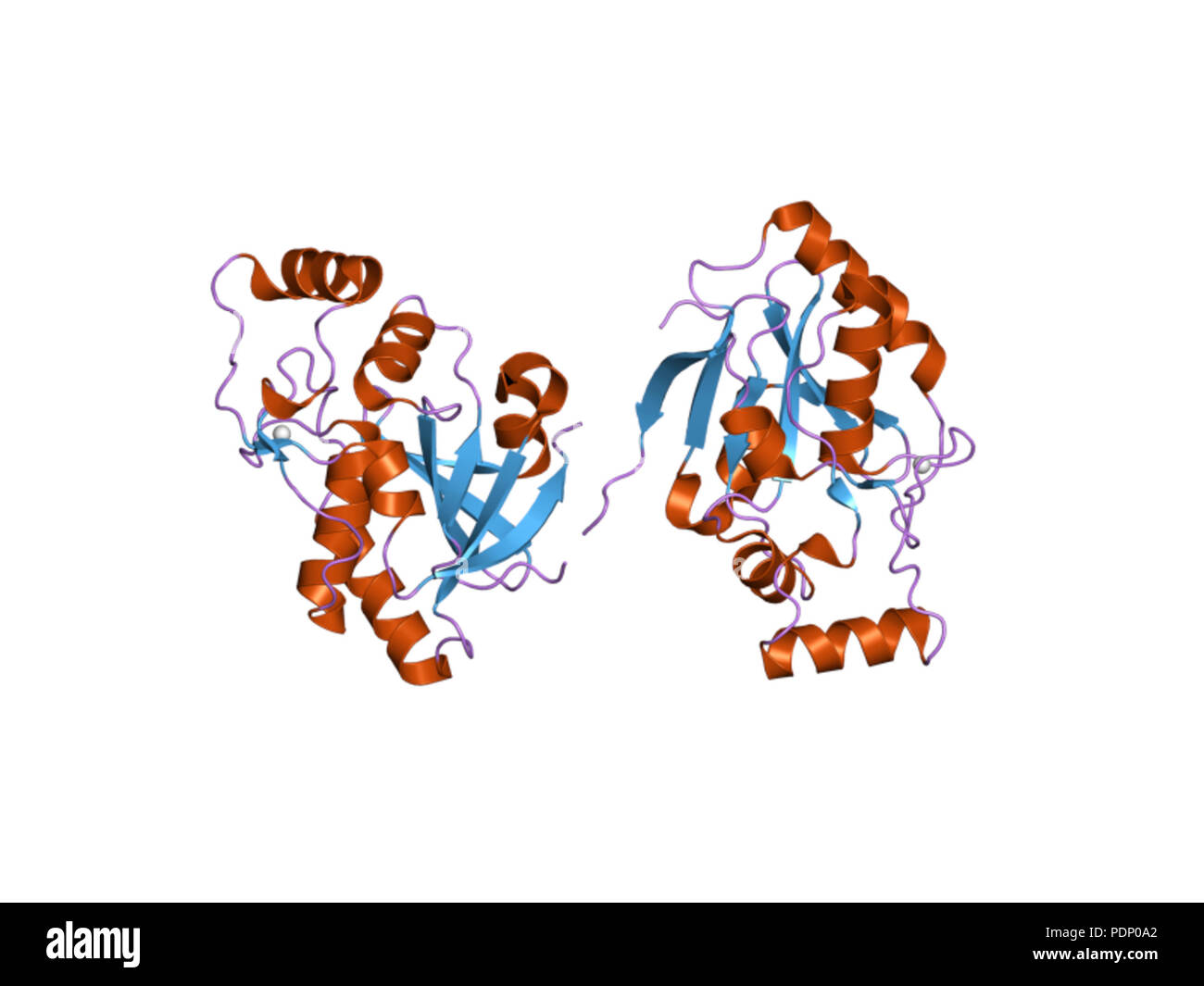 Unit e Cut Out Stock Images & Pictures - Alamy