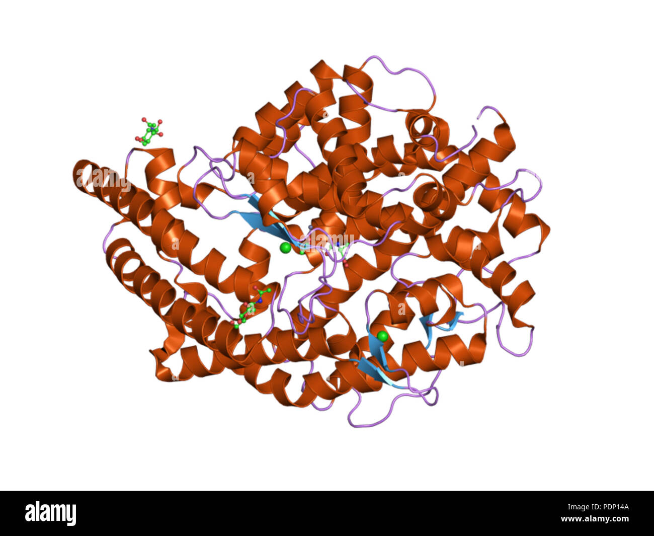 European soldiers record Cut Out Stock Images & Pictures - Alamy
