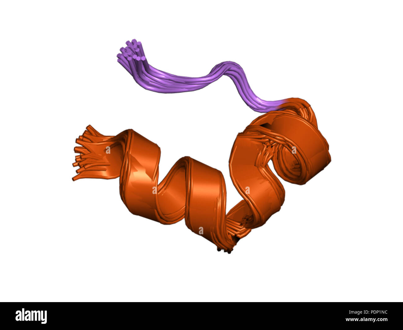 Biophysical experiments Cut Out Stock Images & Pictures - Alamy