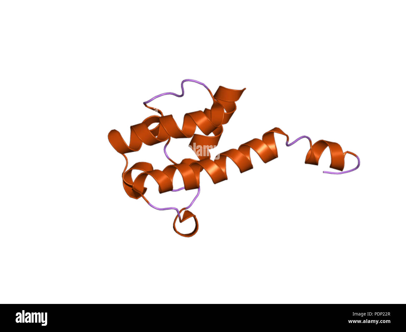 In historical biological illustrations hi-res stock photography and ...