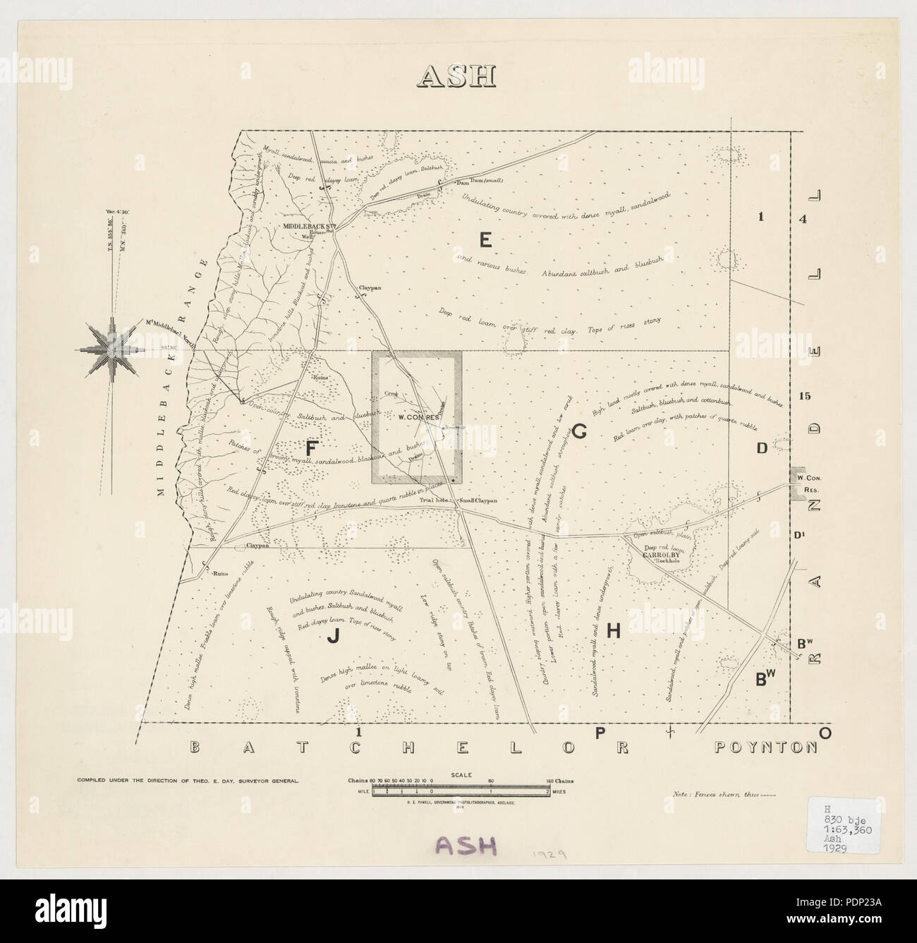 Ash 62 hi-res stock photography and images - Alamy