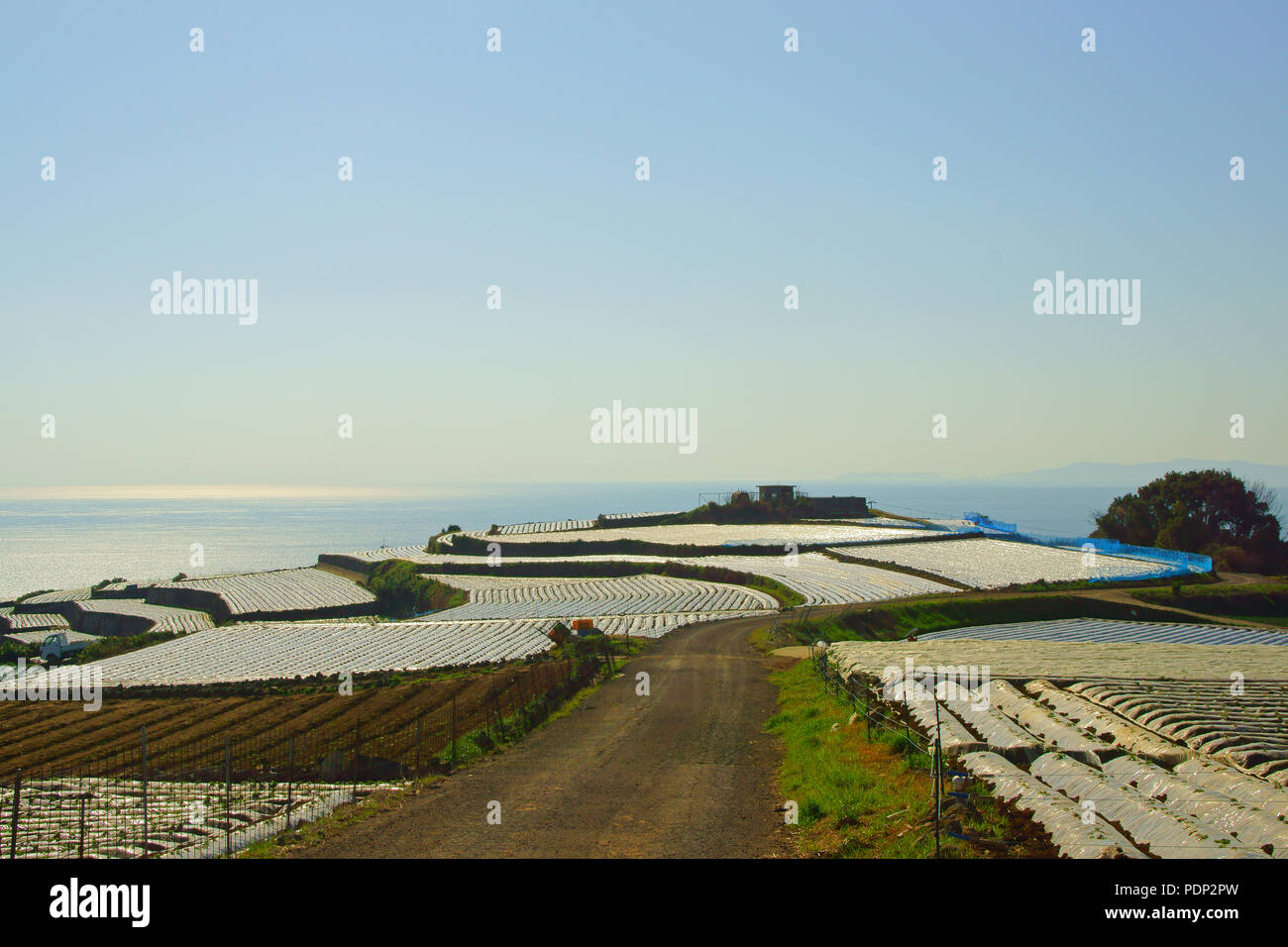 Potato field problems hi-res stock photography and images - Alamy