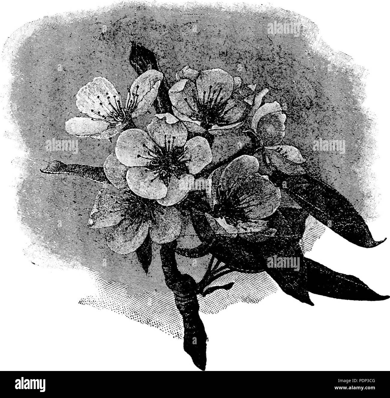 Suggestive artwork hi-res stock photography and images - Alamy