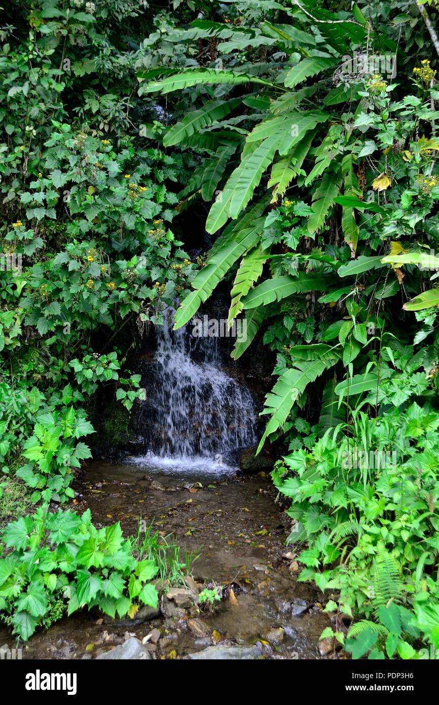 LA ZUNGA - Ecuador border -San Ignacio- Department of Cajamarca .PERU ...
