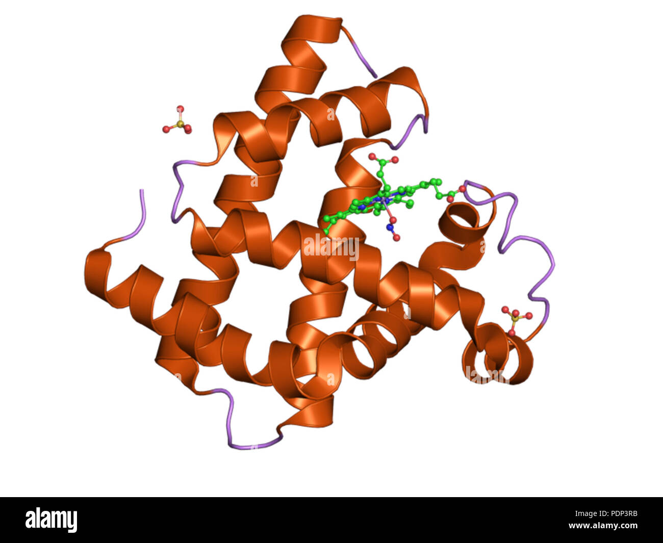 219 PDB 2o5o EBI Stock Photo - Alamy