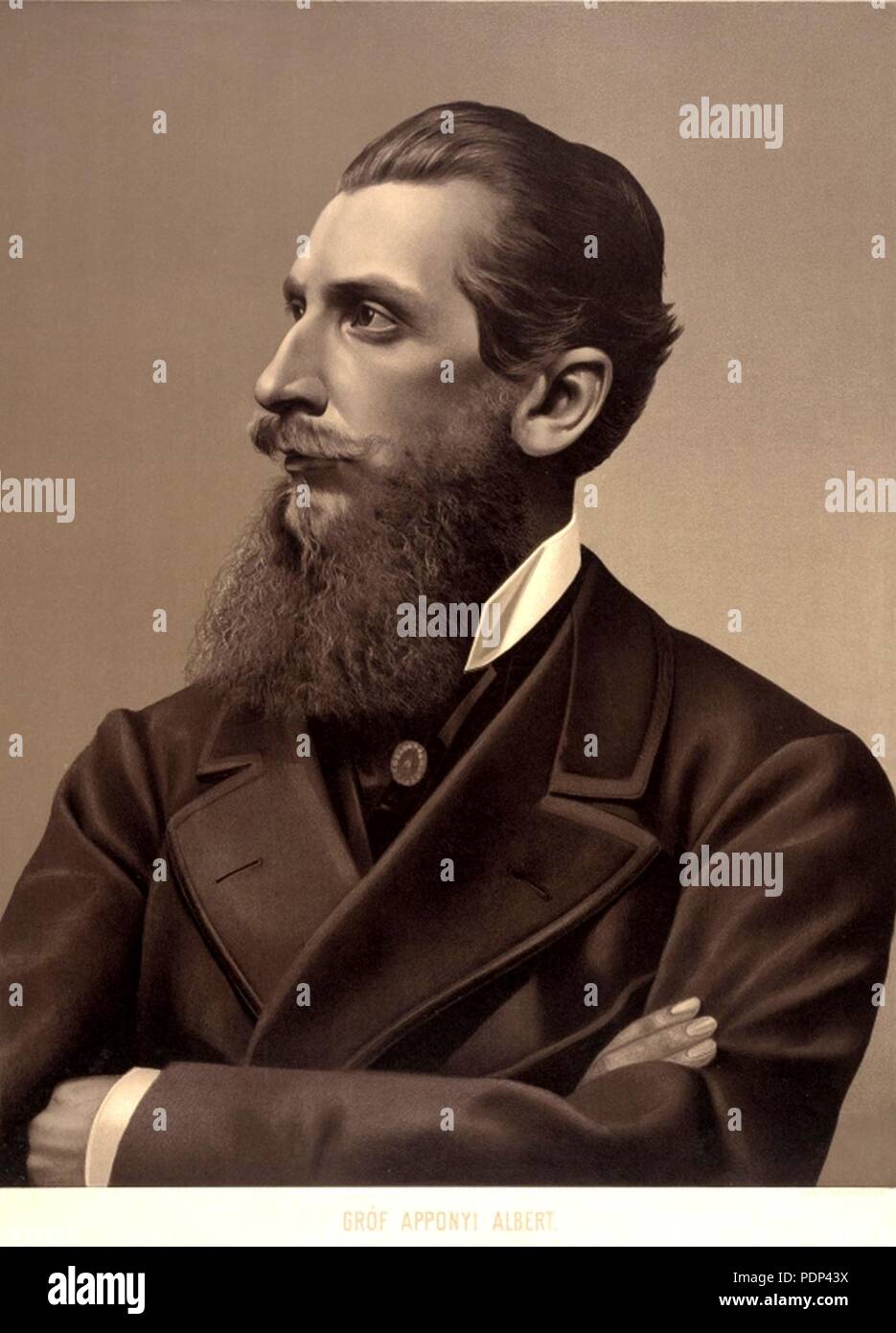 Albert apponyi hi-res stock photography and images - Alamy
