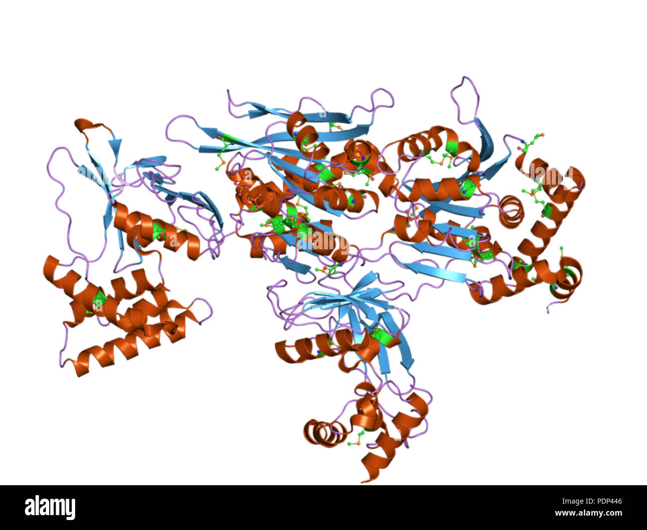 Atpase crystal structure hi-res stock photography and images - Alamy