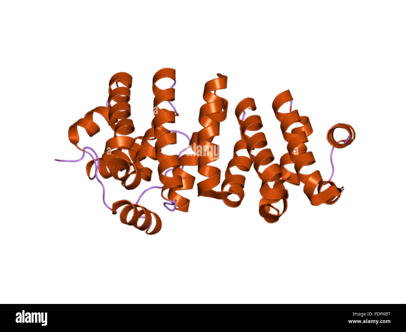 220 PDB 2of3 EBI Stock Photo - Alamy