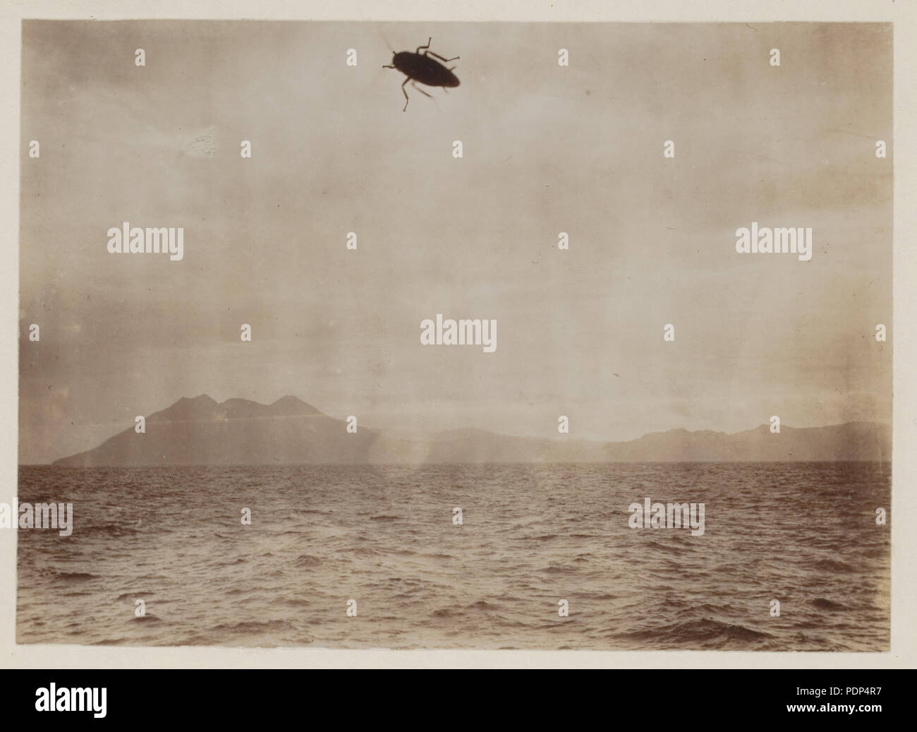 310 300 bc hi-res stock photography and images - Alamy