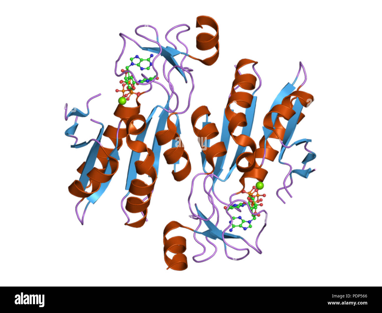 Pdb structure hi-res stock photography and images - Alamy