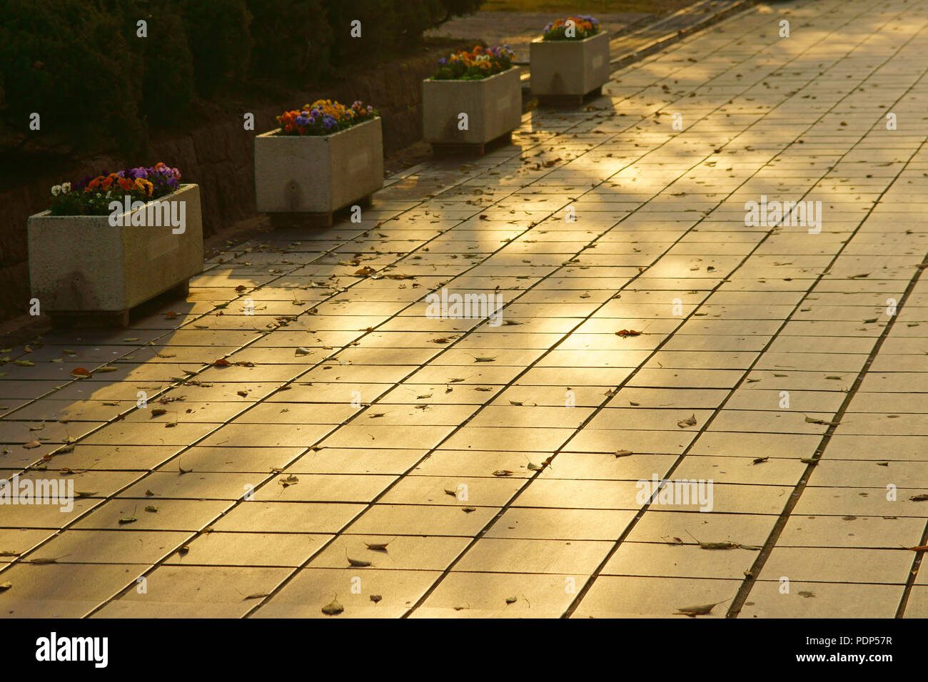 Sidewalk problems hi-res stock photography and images - Alamy