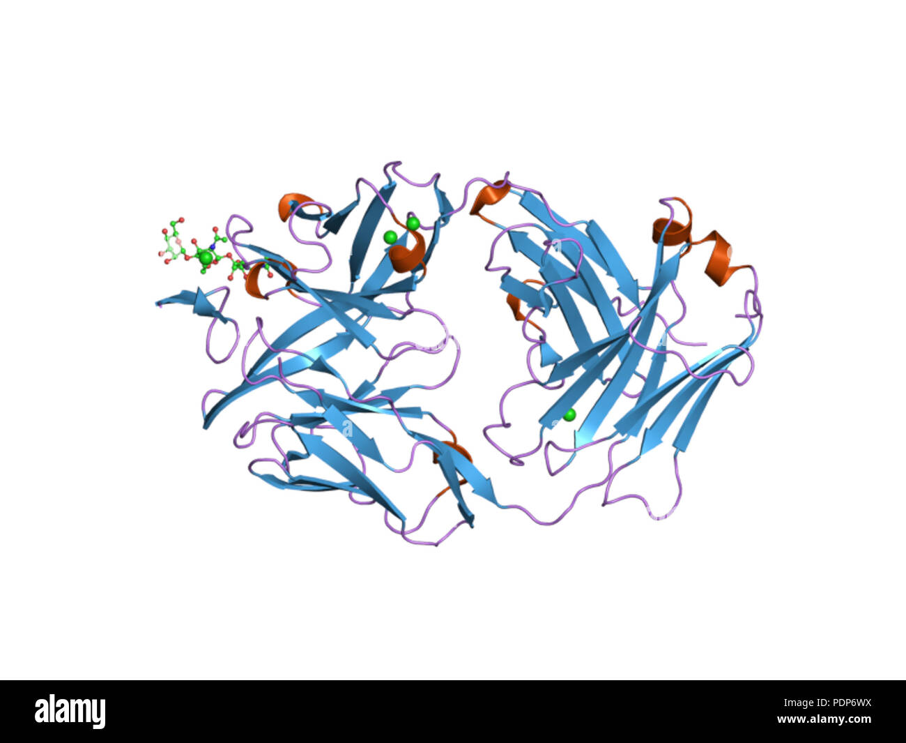 Molecular_model hi-res stock photography and images - Alamy