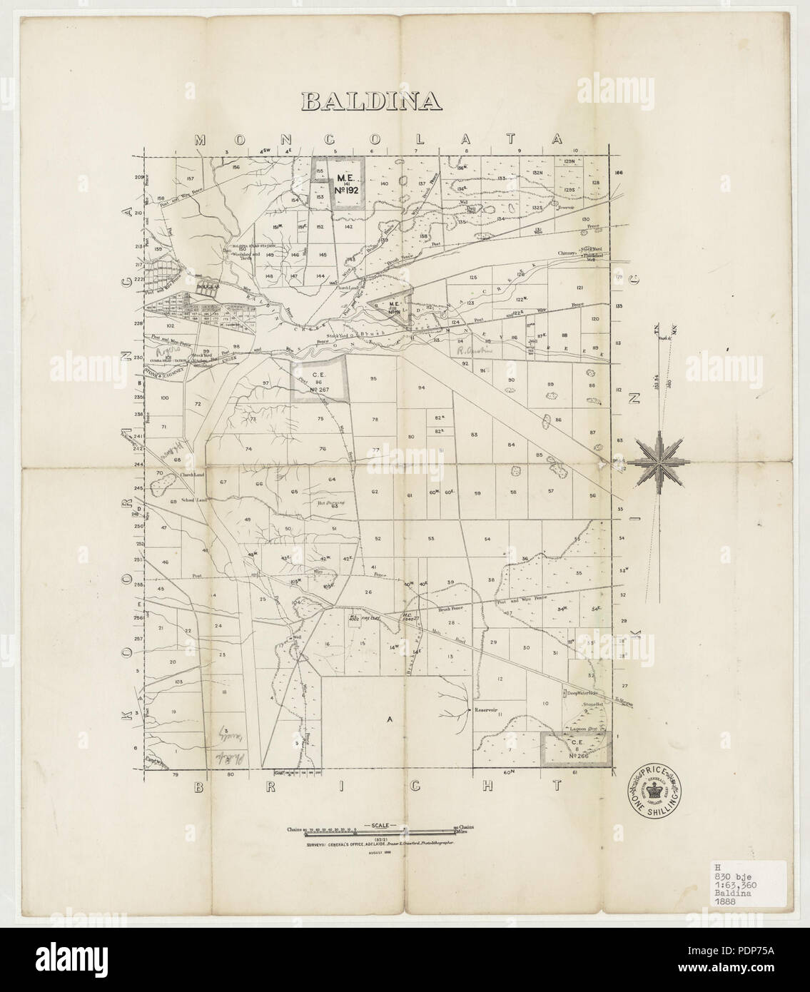 Baldina hi-res stock photography and images - Alamy