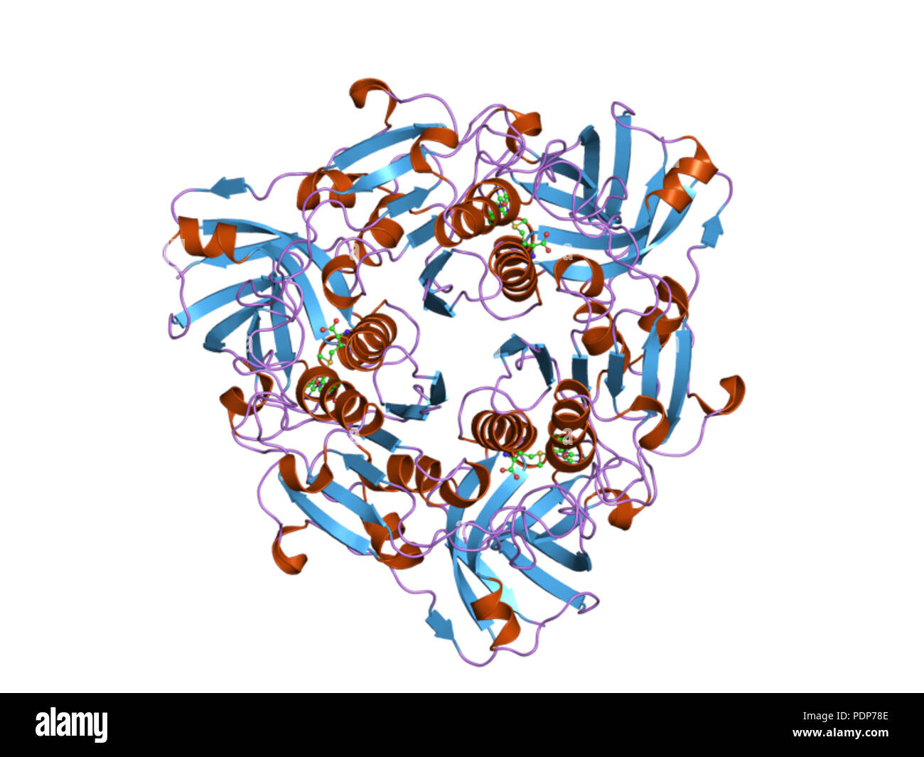 Macromolecular machine hi-res stock photography and images - Alamy