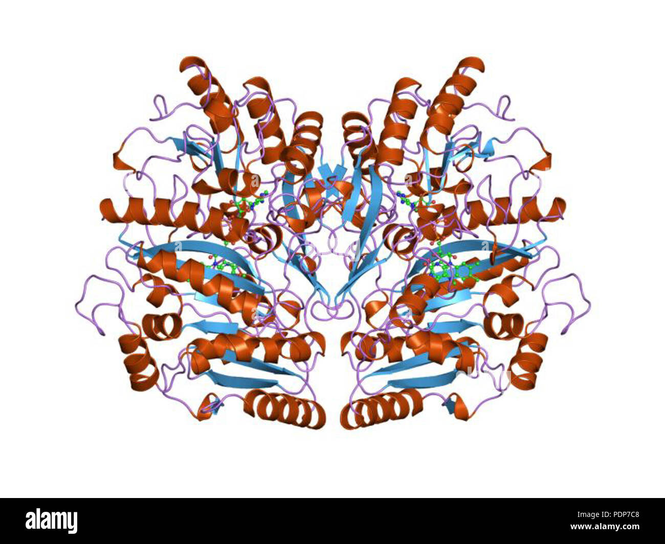 244 PDB 2vao EBI Stock Photo - Alamy
