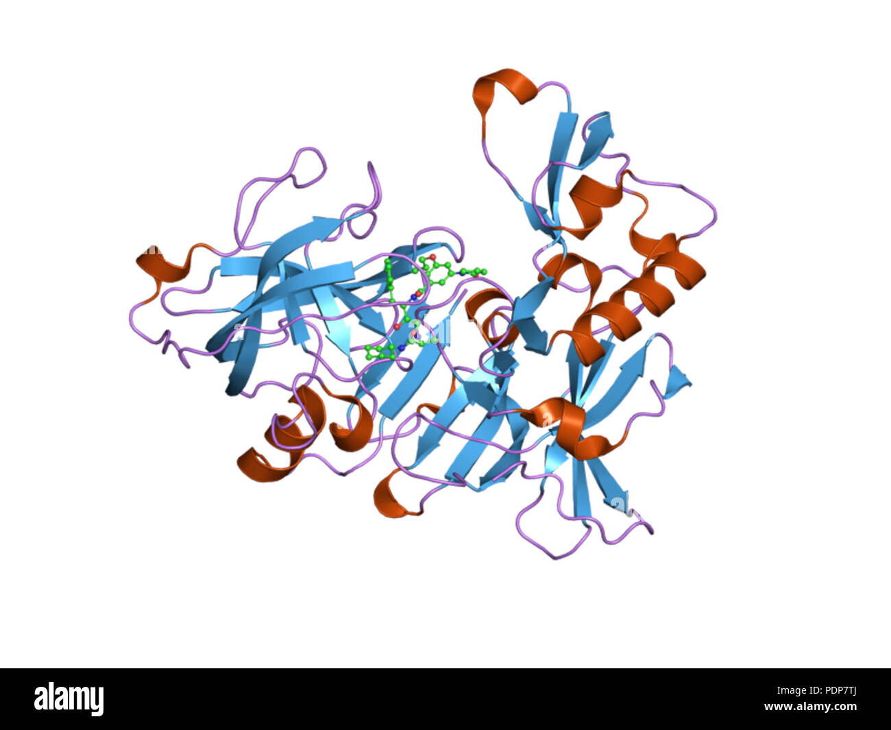 245 PDB 2viz EBI Stock Photo - Alamy