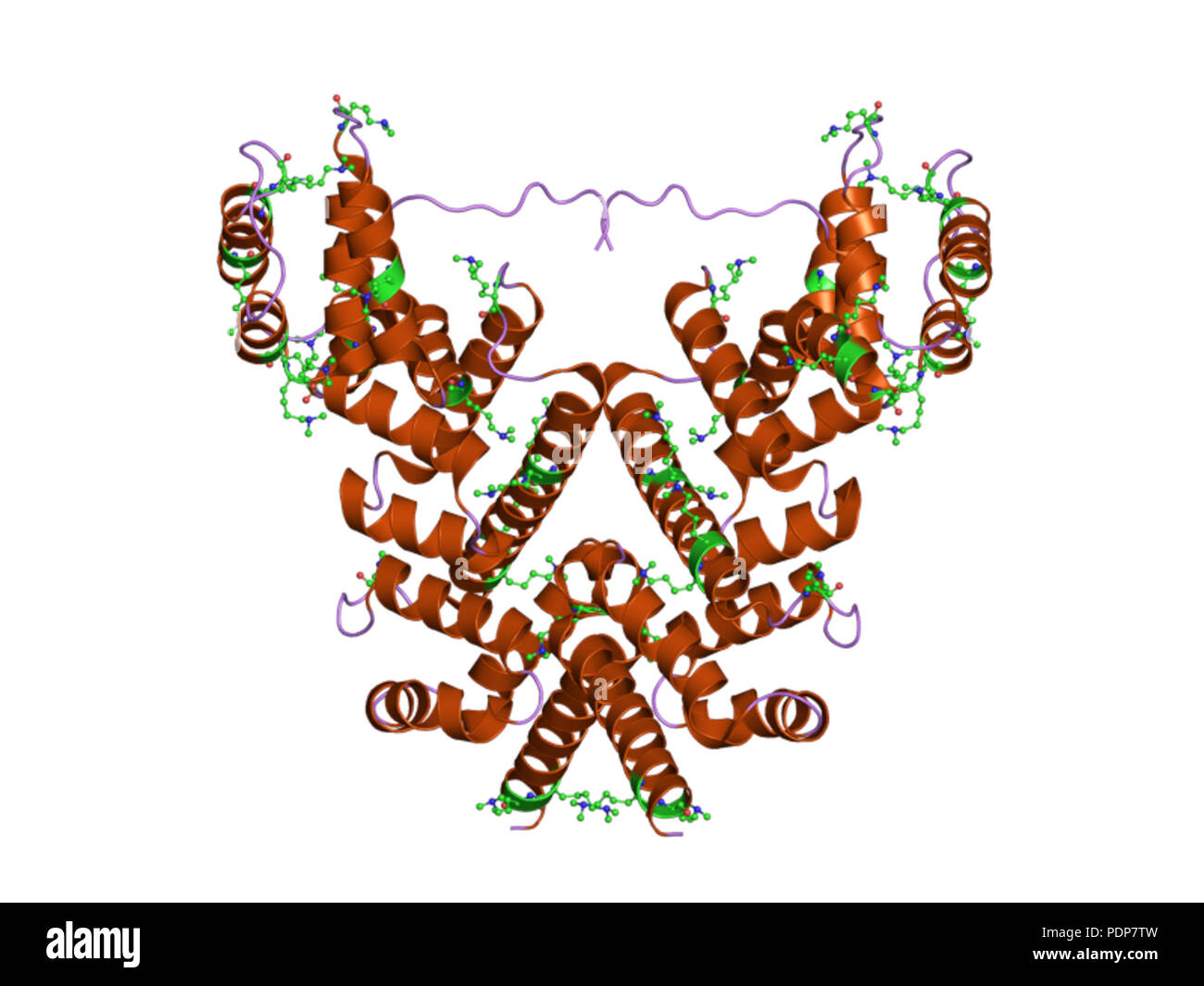 Military personnel identification Cut Out Stock Images & Pictures - Alamy