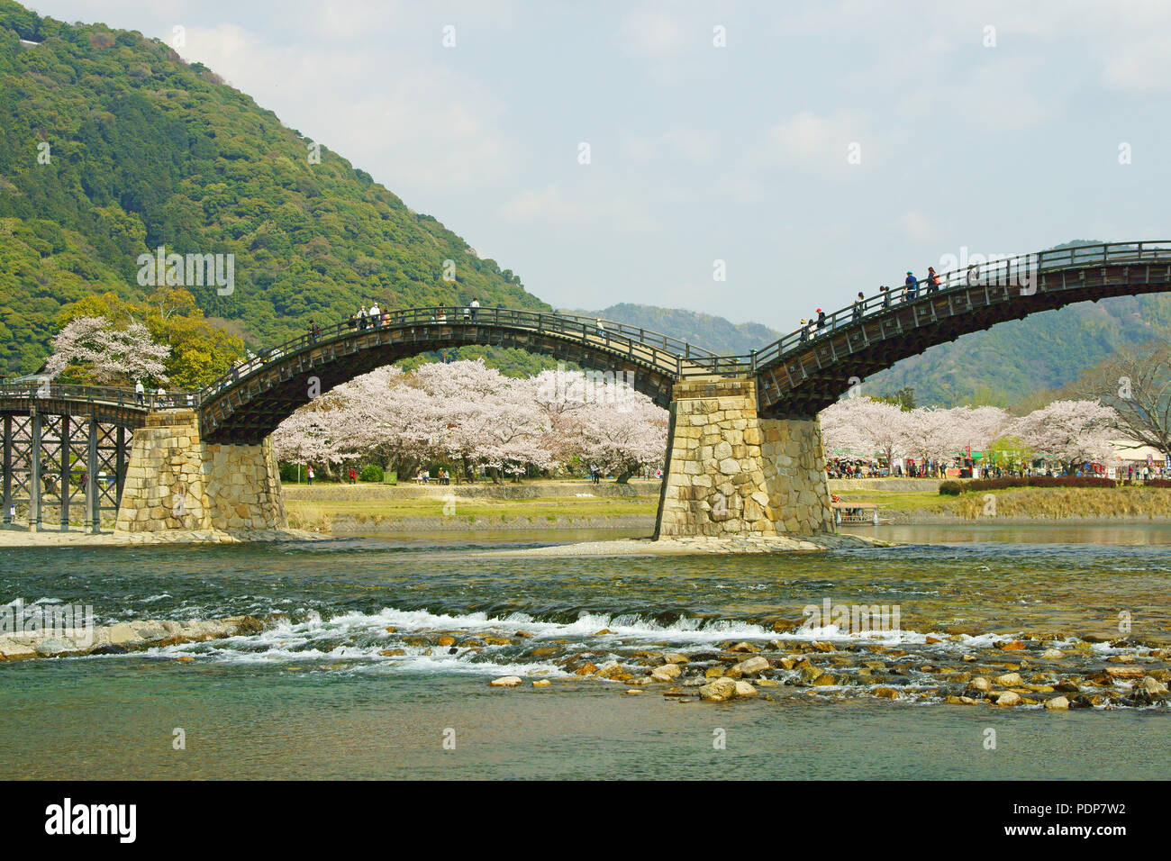 Kintai bridge blossom hi-res stock photography and images - Alamy