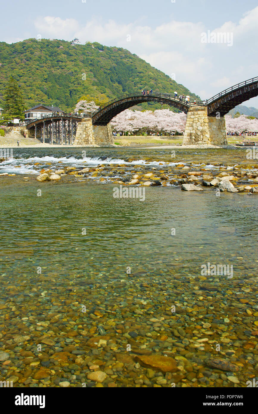Cherry blossom kintai bridge hi-res stock photography and images - Alamy