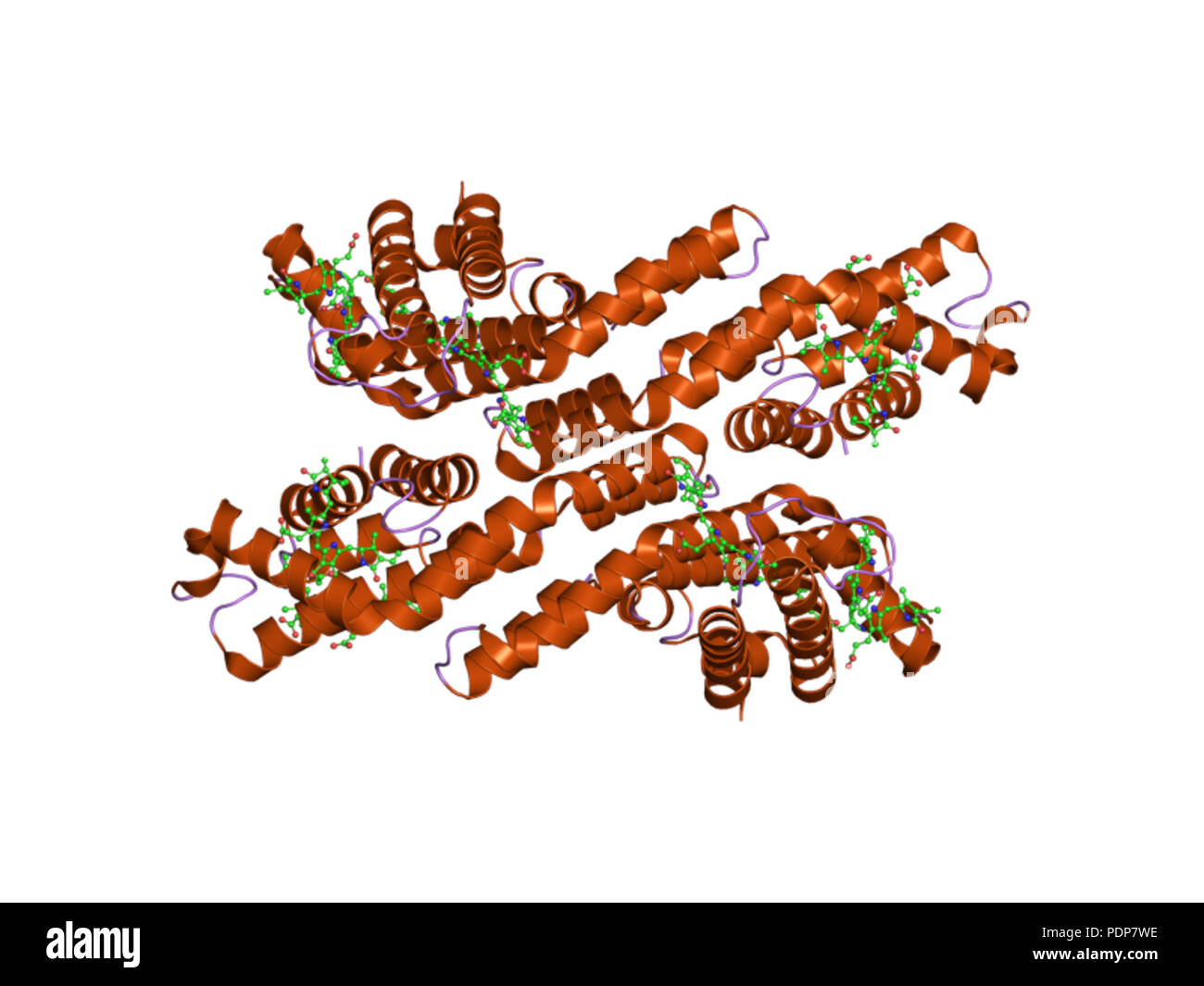 245 PDB 2vjh EBI Stock Photo - Alamy