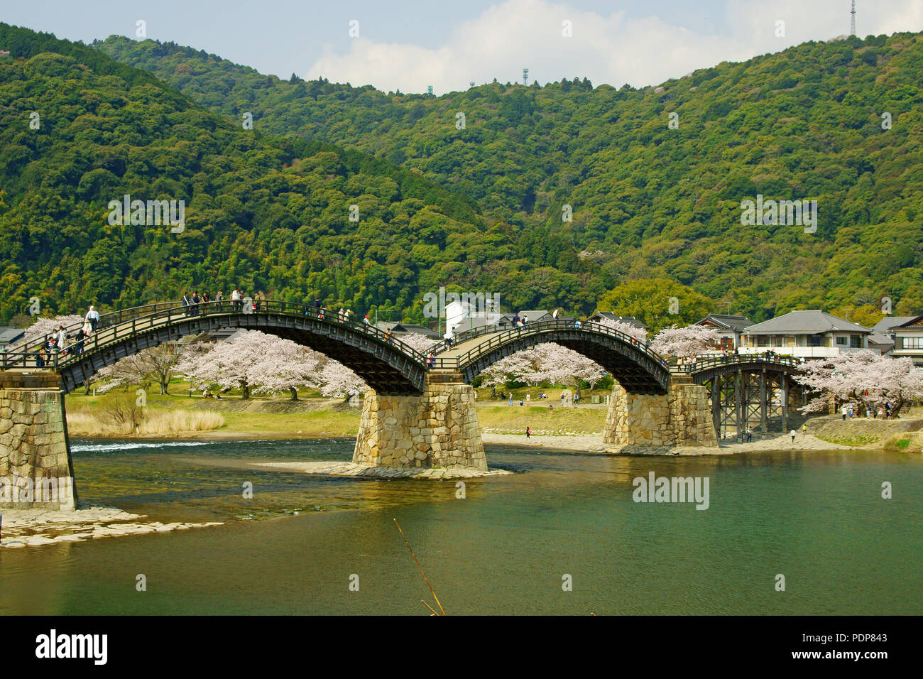 Cherry blossom kintai bridge hi-res stock photography and images - Alamy