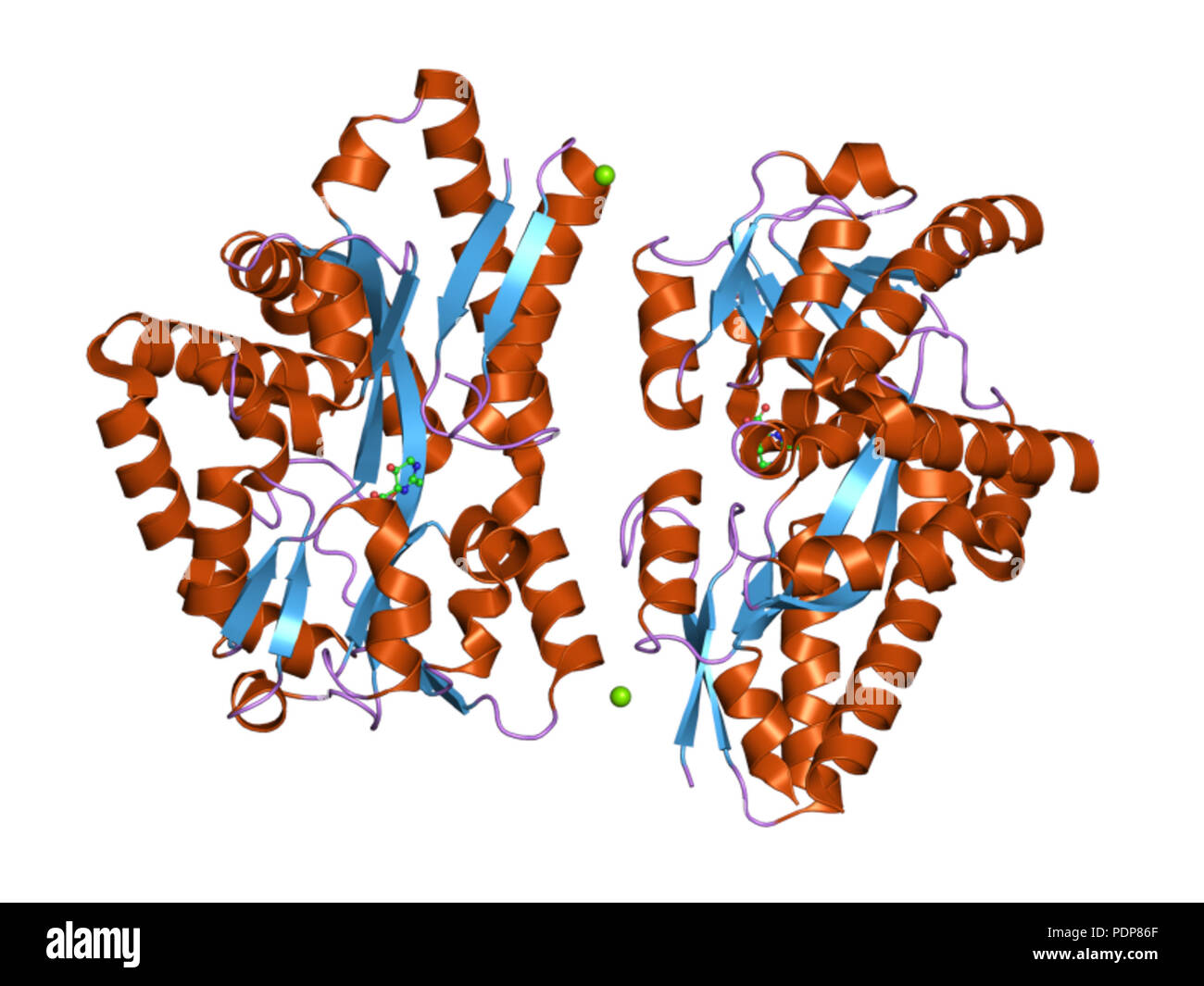 20th century society Cut Out Stock Images & Pictures - Alamy