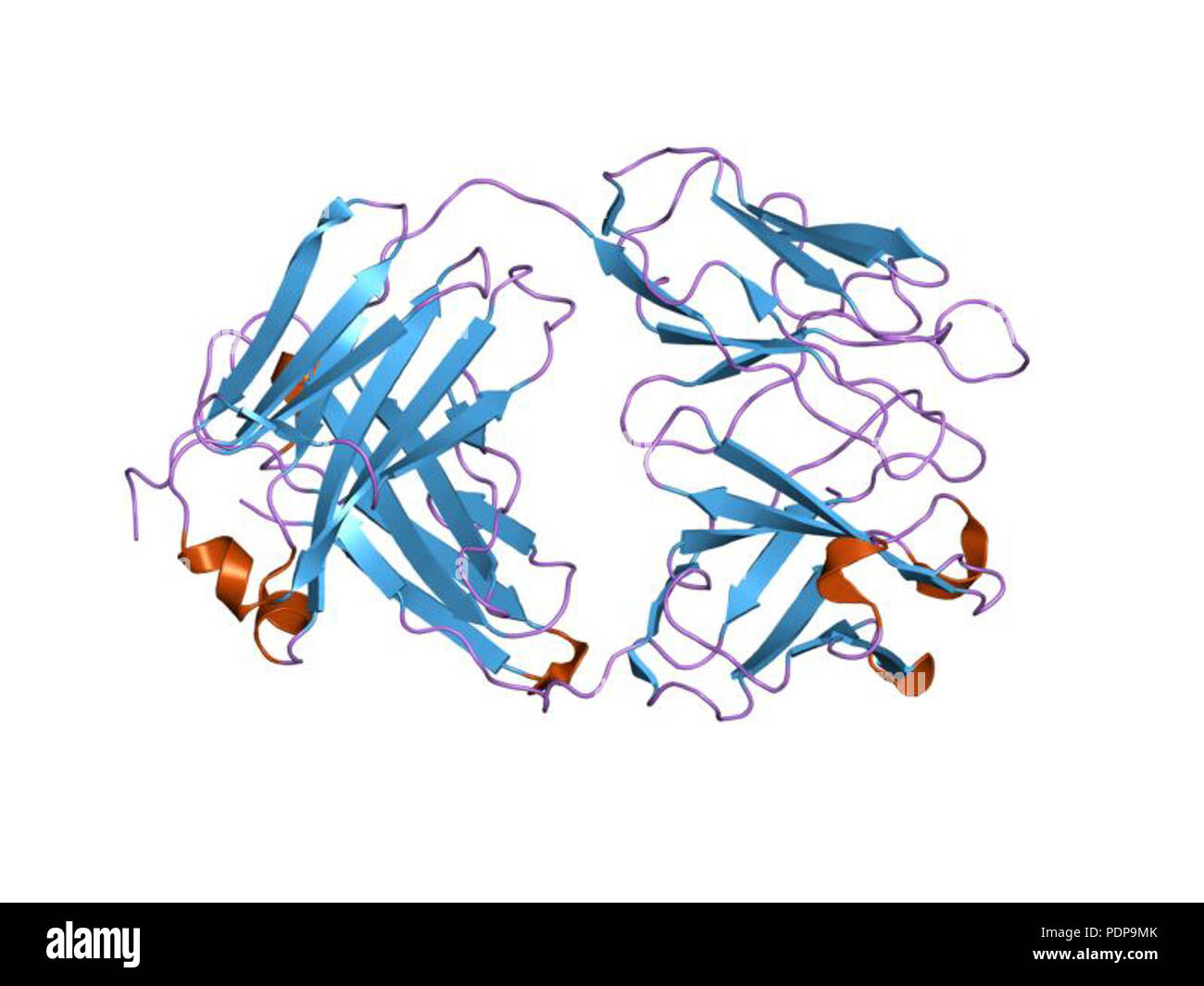 Code viewer Cut Out Stock Images & Pictures - Alamy