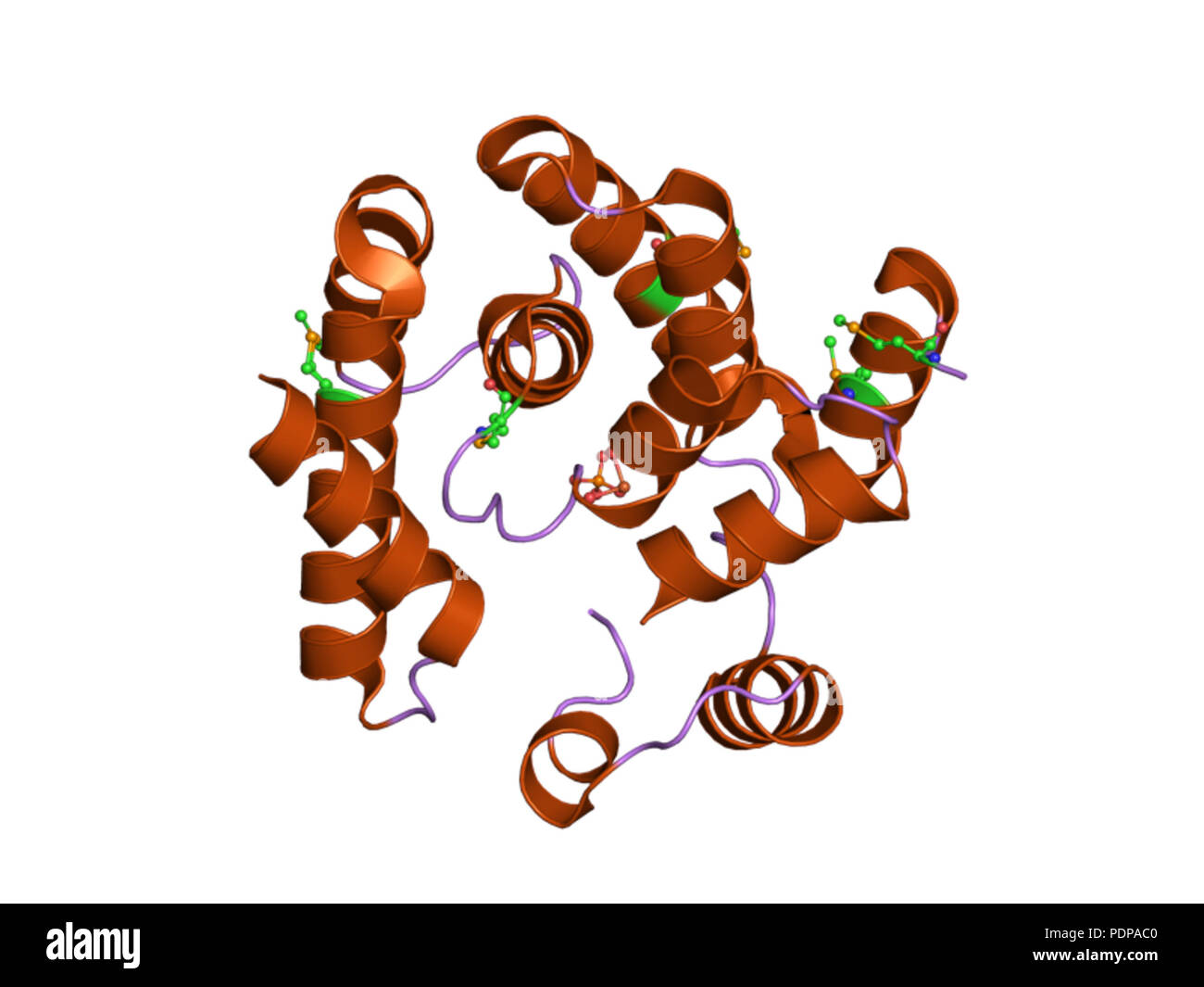 Cataloged series Cut Out Stock Images & Pictures - Alamy