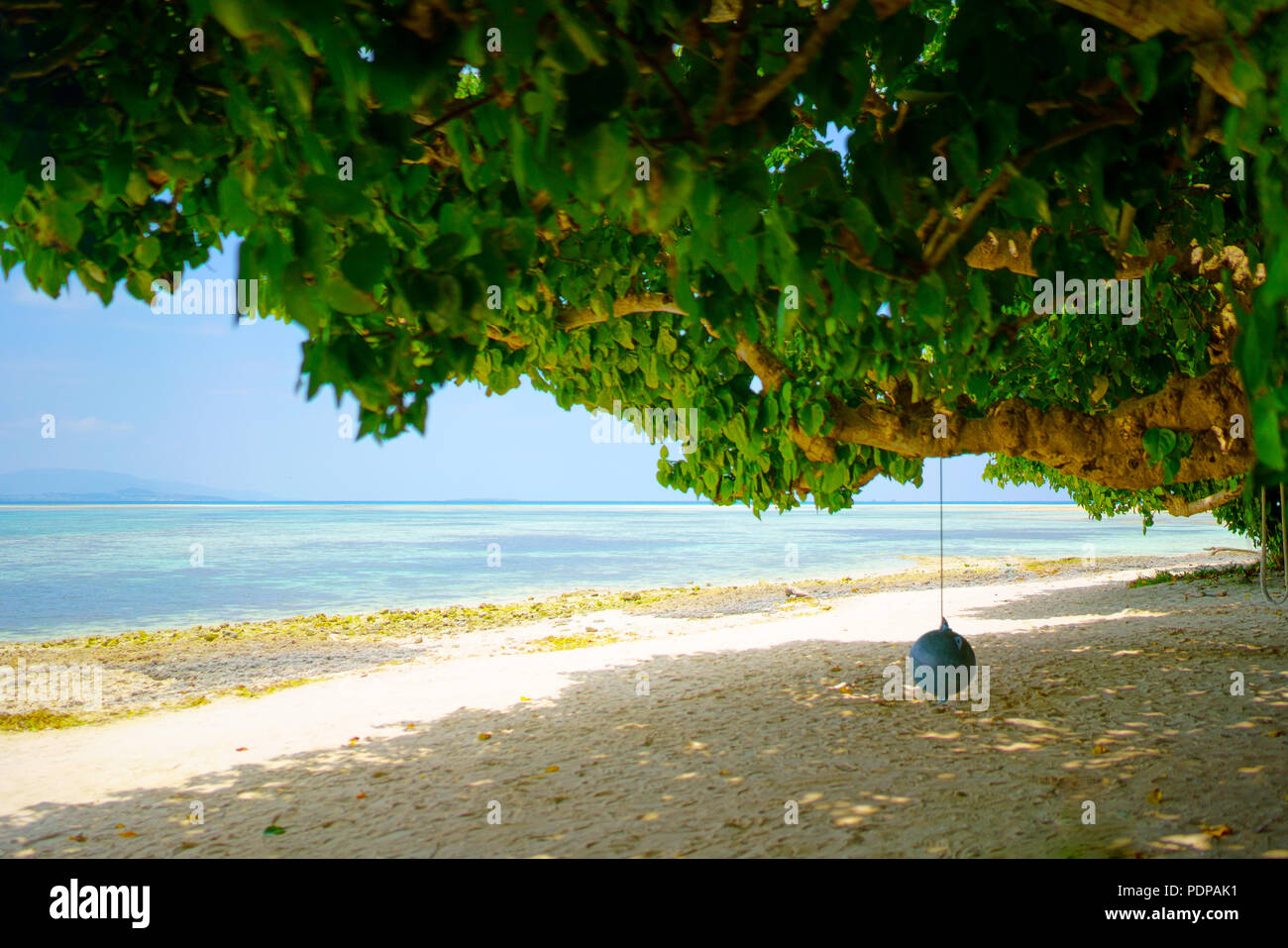 Star sand okinawa hi-res stock photography and images - Alamy
