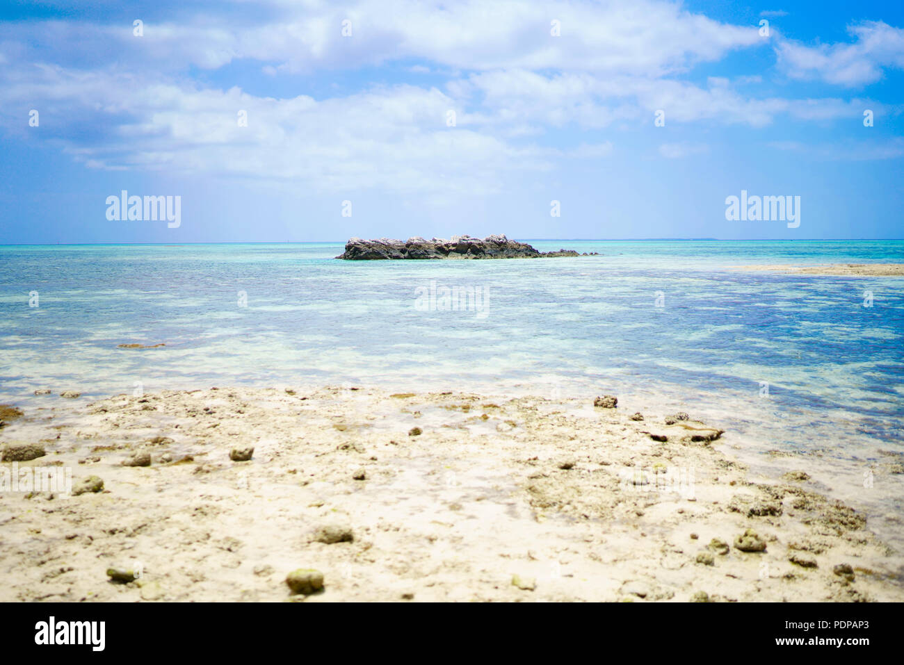 Star sand okinawa hi-res stock photography and images - Alamy
