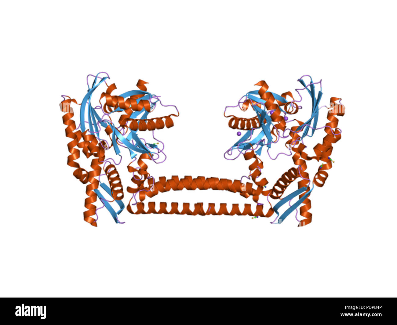 Army personnel classification hi-res stock photography and images - Alamy
